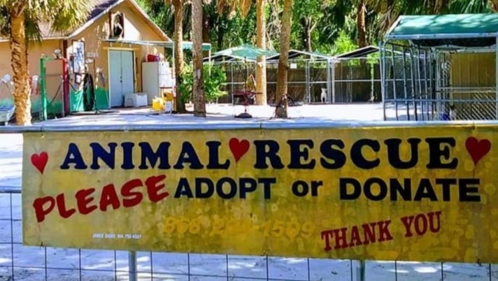 Fundraiser by Reita Smith : Save Animal Rescue Inc: Secure Their ...