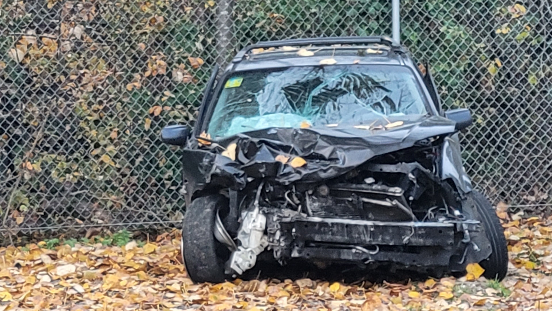 Fundraiser for April Kimmel by Leah Markman : Urgent support needed for ...