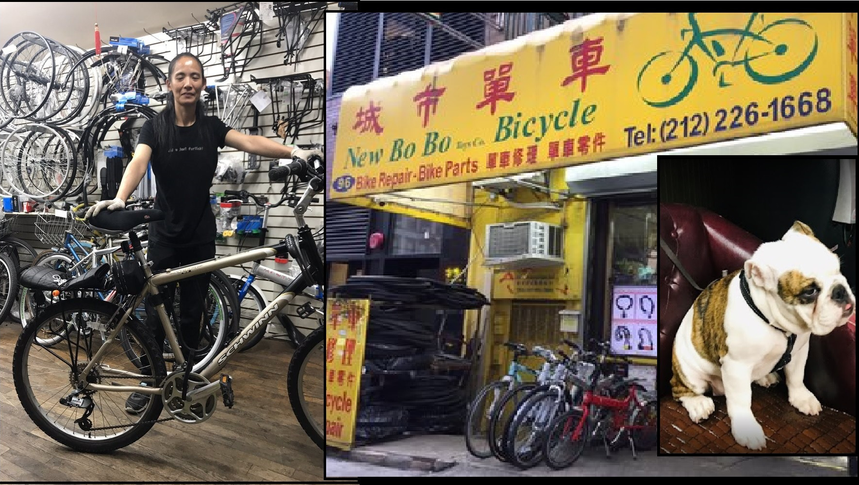 Fundraiser for Wei Lin Huang by Manish Dave : Support Pat's Battle ...