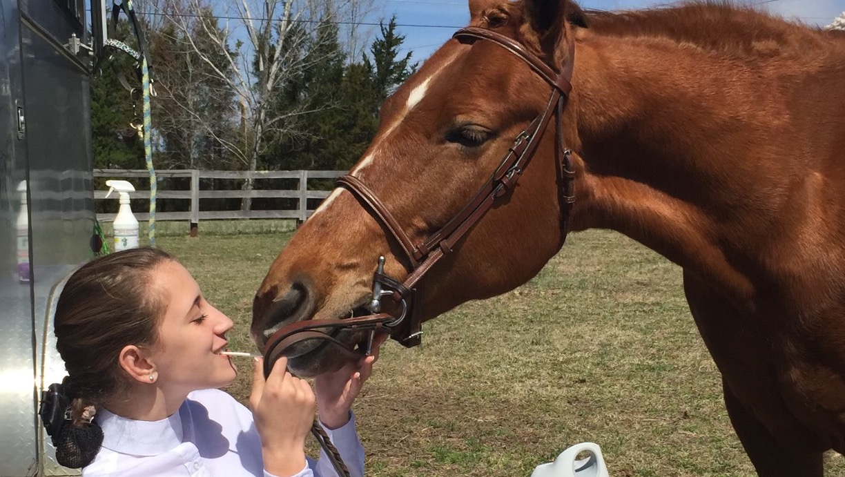 Fundraiser by Anna Walser : Aid Geanna's Critical Care at NCSU