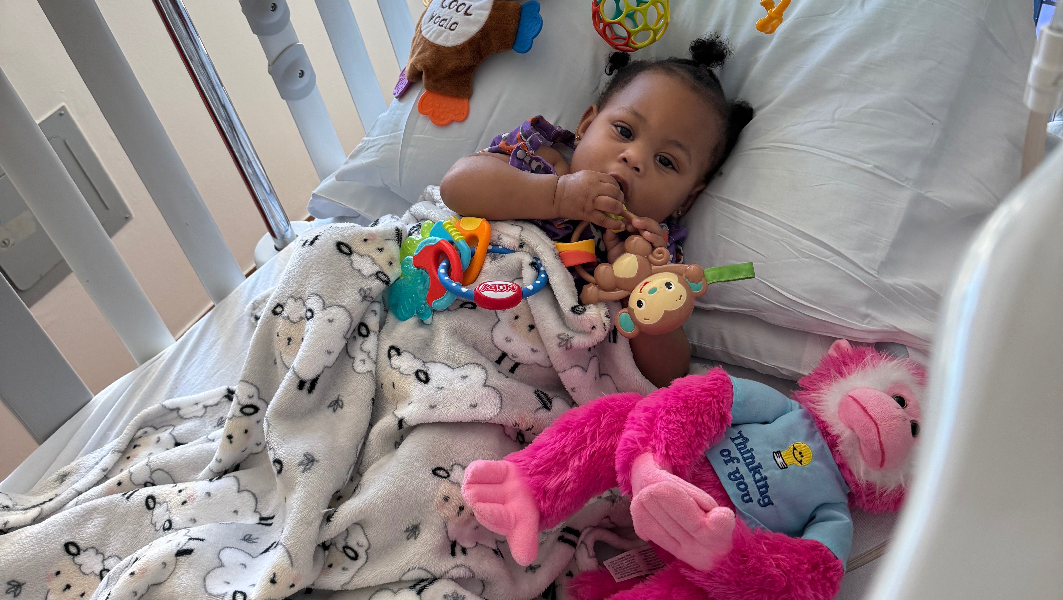Fundraiser for Raven Jones by Octavia Shanae : Bella's Fight for Safety ...
