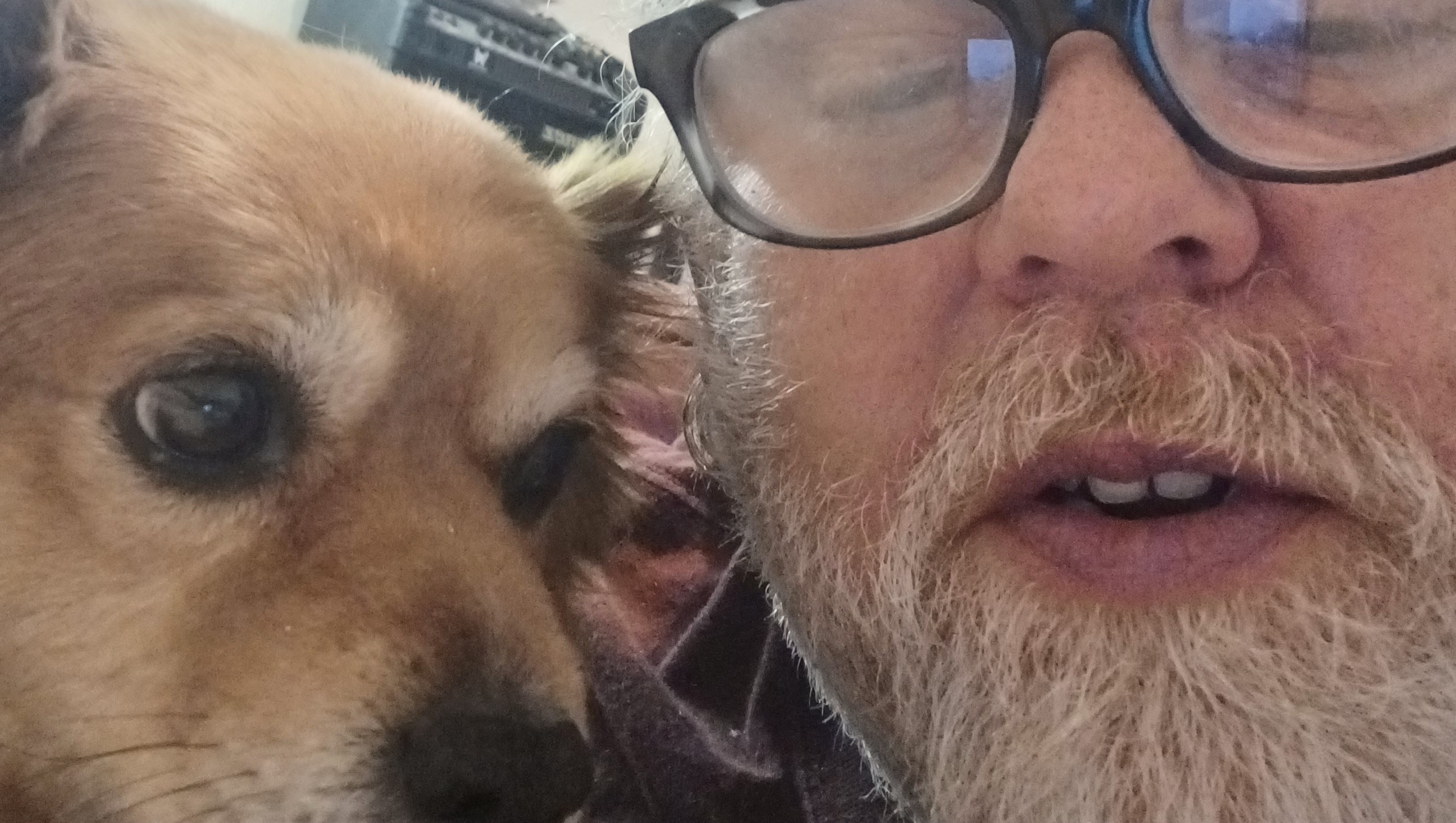 Fundraiser by Tracy Caudill : Widower Battling Health and Financial Woes