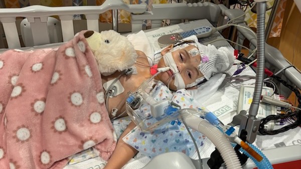 Fundraiser for wade stephens by Alicia Shaffner : Support McKenzie's ...