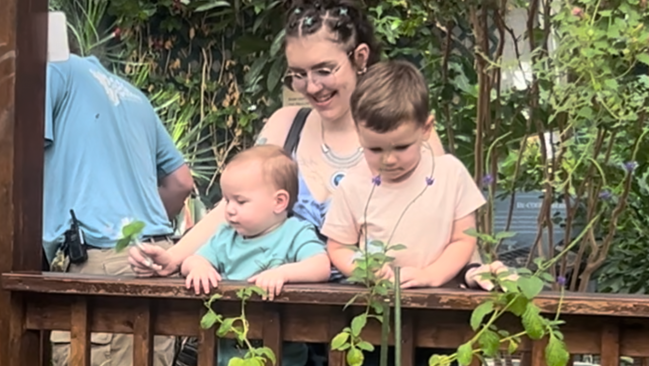 Fundraiser by Taylor Cardoza : Support Taylor's Heart Surgery Journey