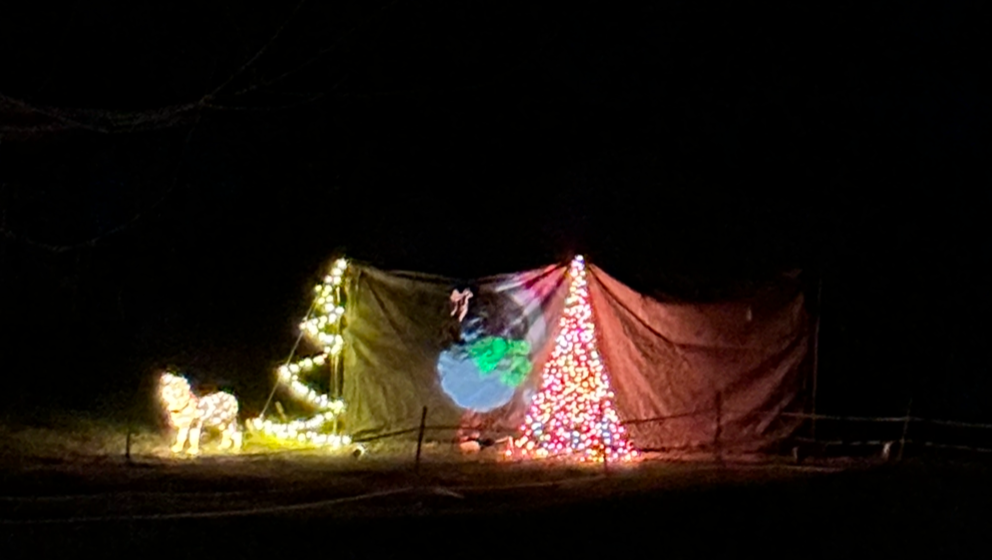 Fundraiser for Morgan Hitt by Michael Vielma : Support WNC Families in ...