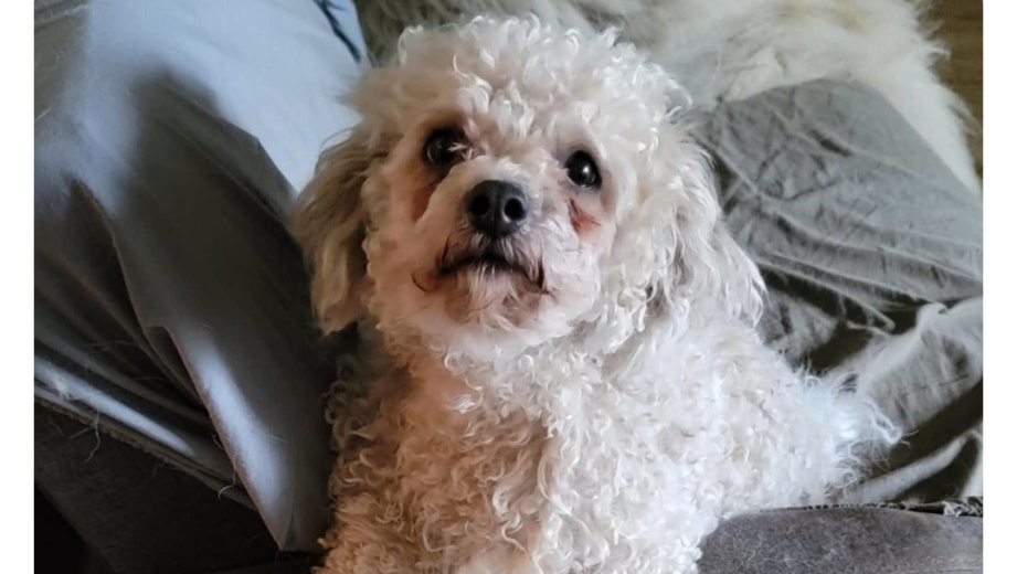 Fundraiser for Gail Schumann by Brenda Howard : Support Gary & Gail ...