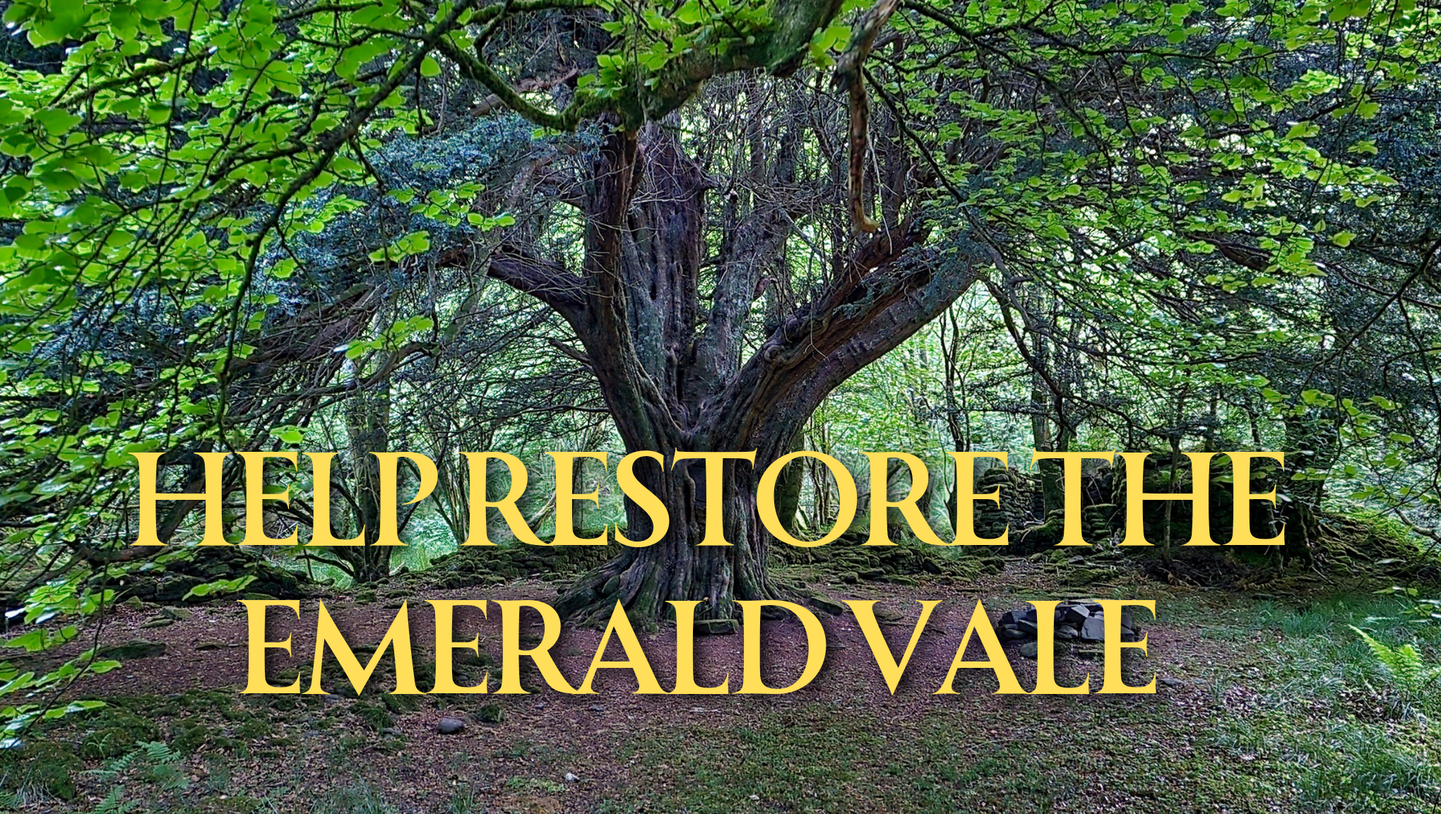 Fundraiser by Emerald Vale : Help Restore the Emerald Vale