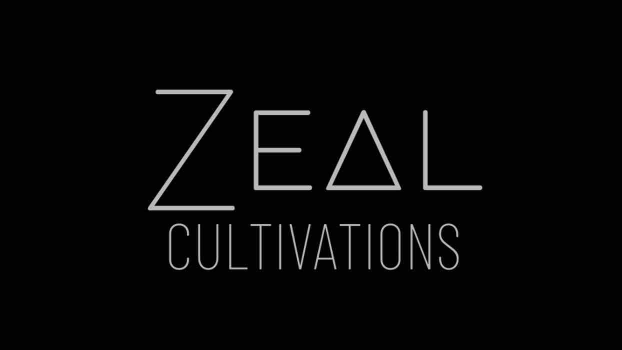 Fundraiser by Spencer Thomas : Support Zeal Cultivations: Amplify Voices, Create Change