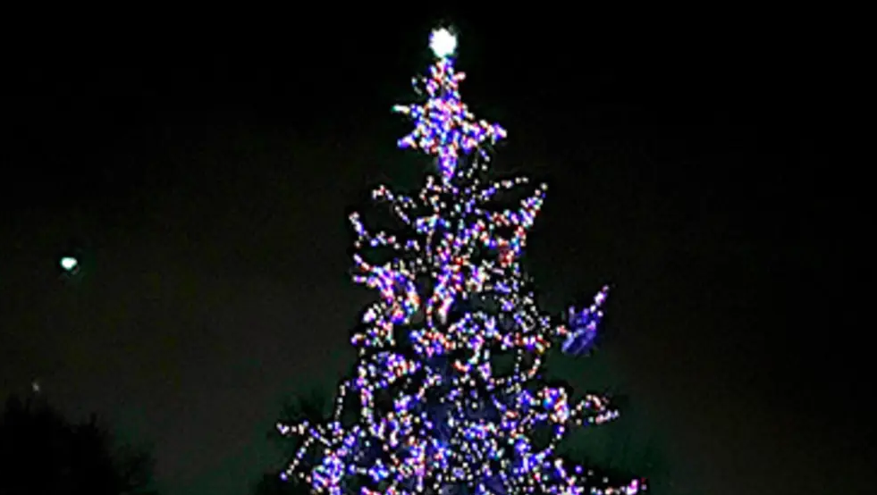 Fundraiser by Katie Giles : Light Up Baldwin: Support the Giles Family Tree