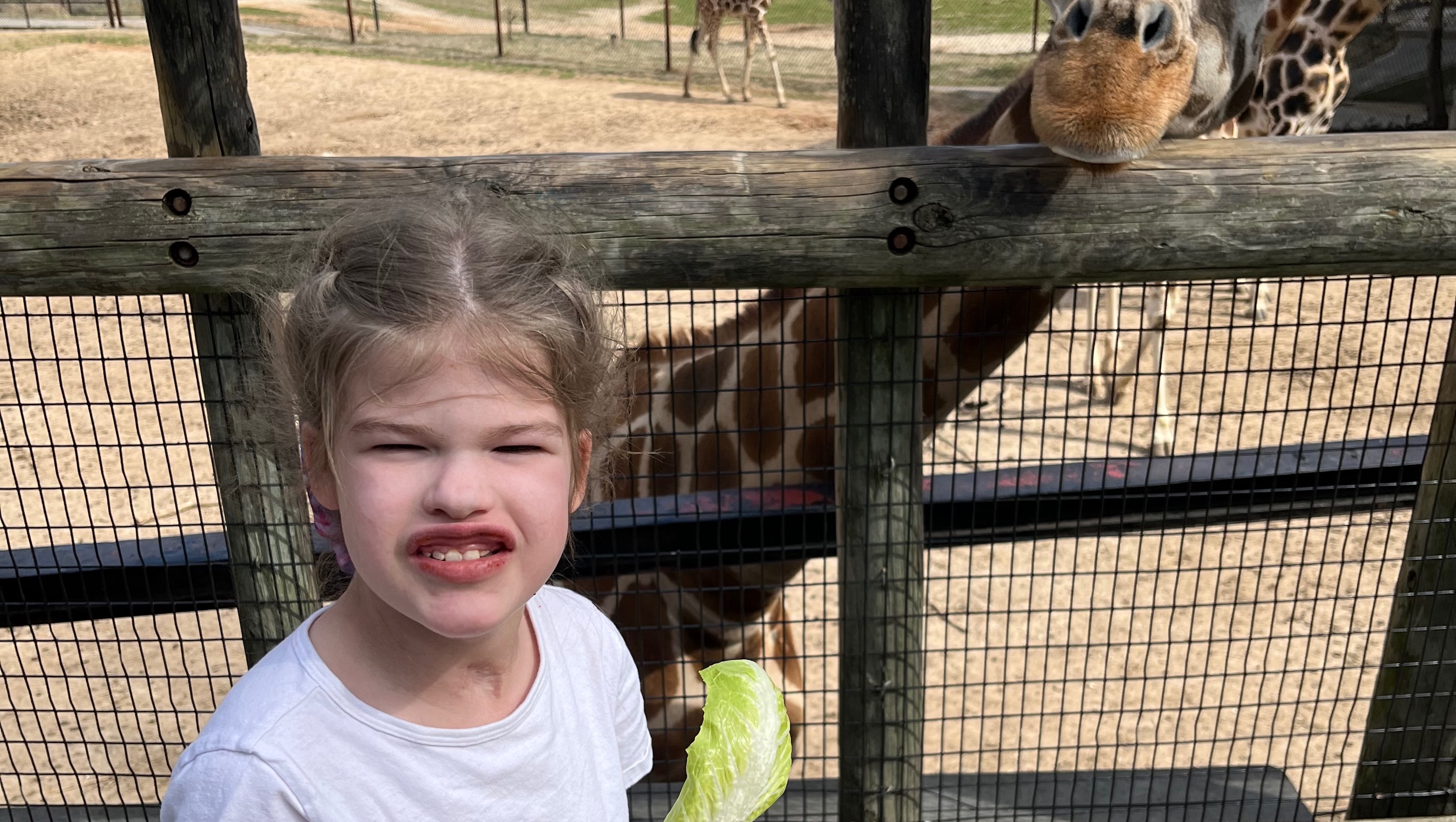 Fundraiser by Laura Powell : Love for Ellie Bowman
