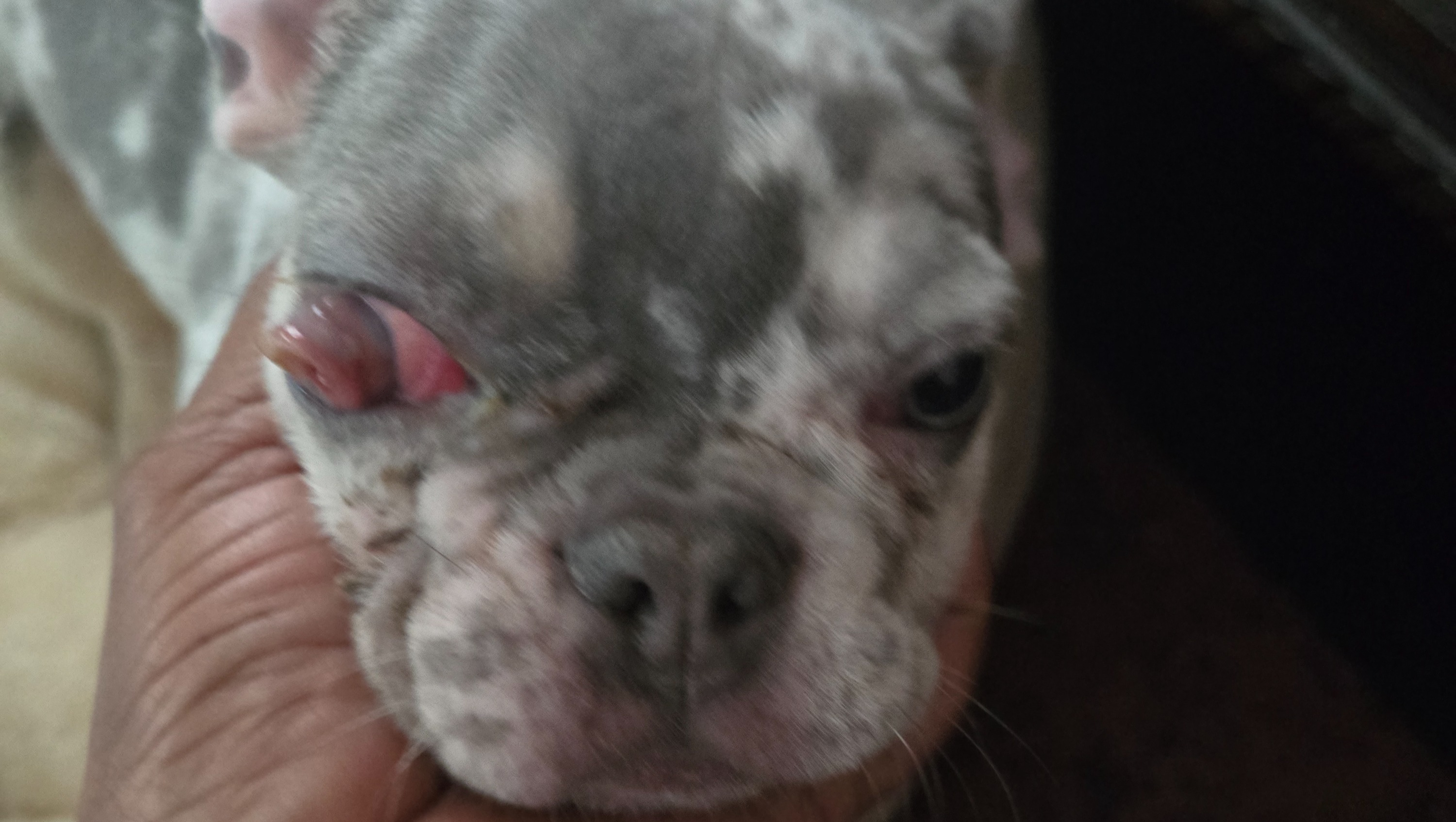 Fundraiser by Althea Barnes : Support Abel's Eye Surgery and Recovery