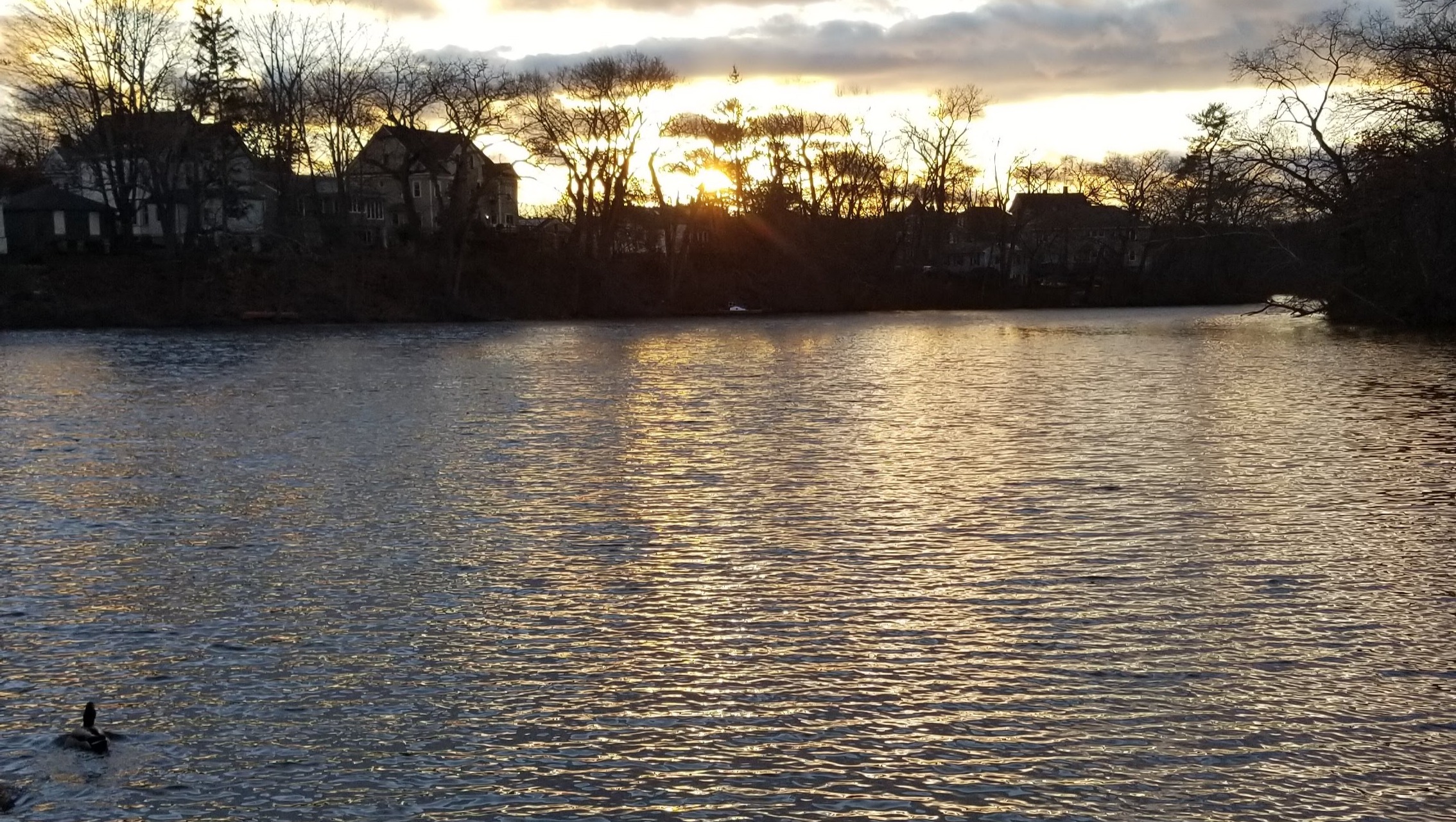 Fundraiser by Stan Yen : Help a community member cover essential bills