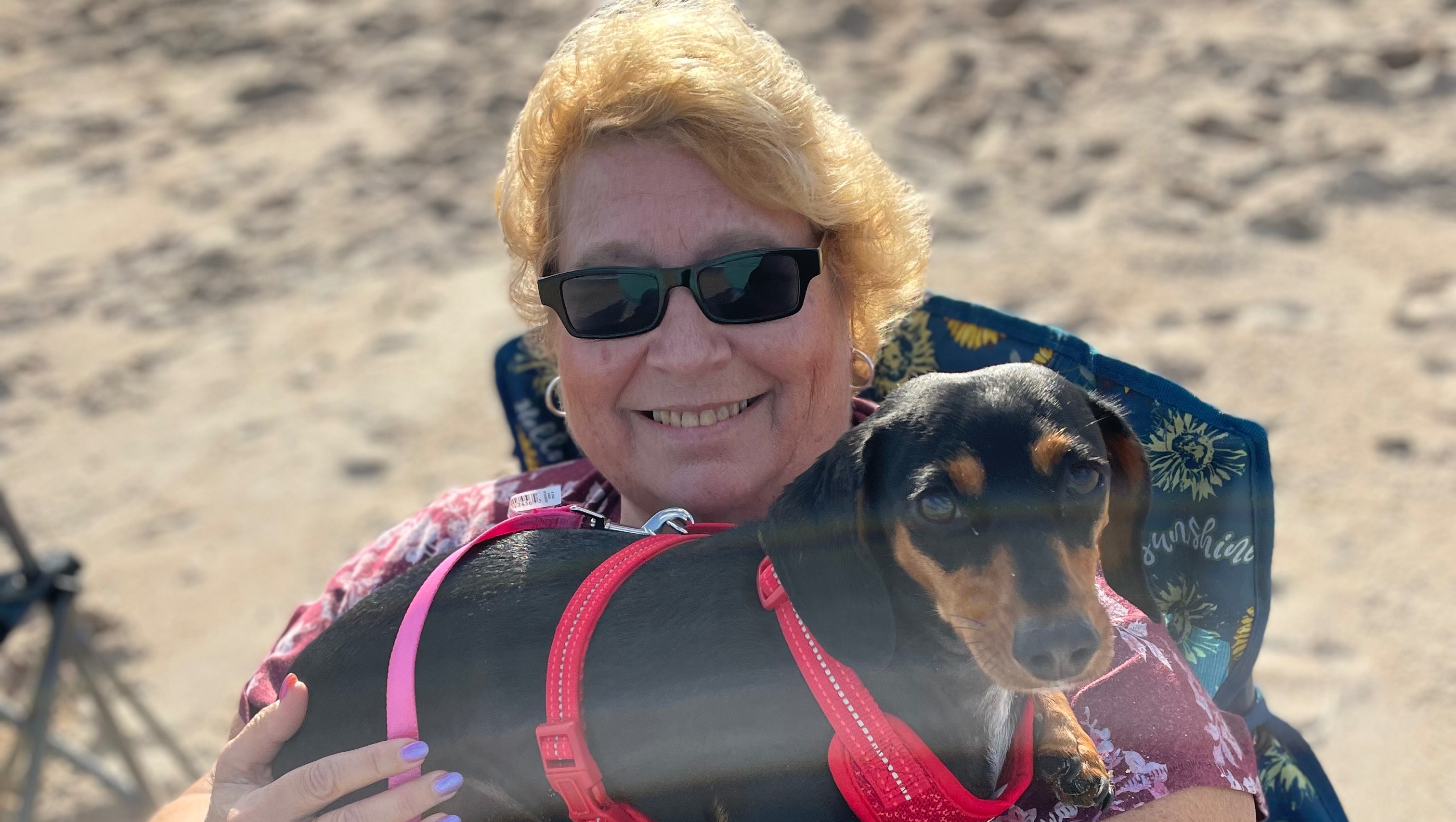 Fundraiser by Carolyn McIntyre Katarina Cumberledge : Support Bonnie ...