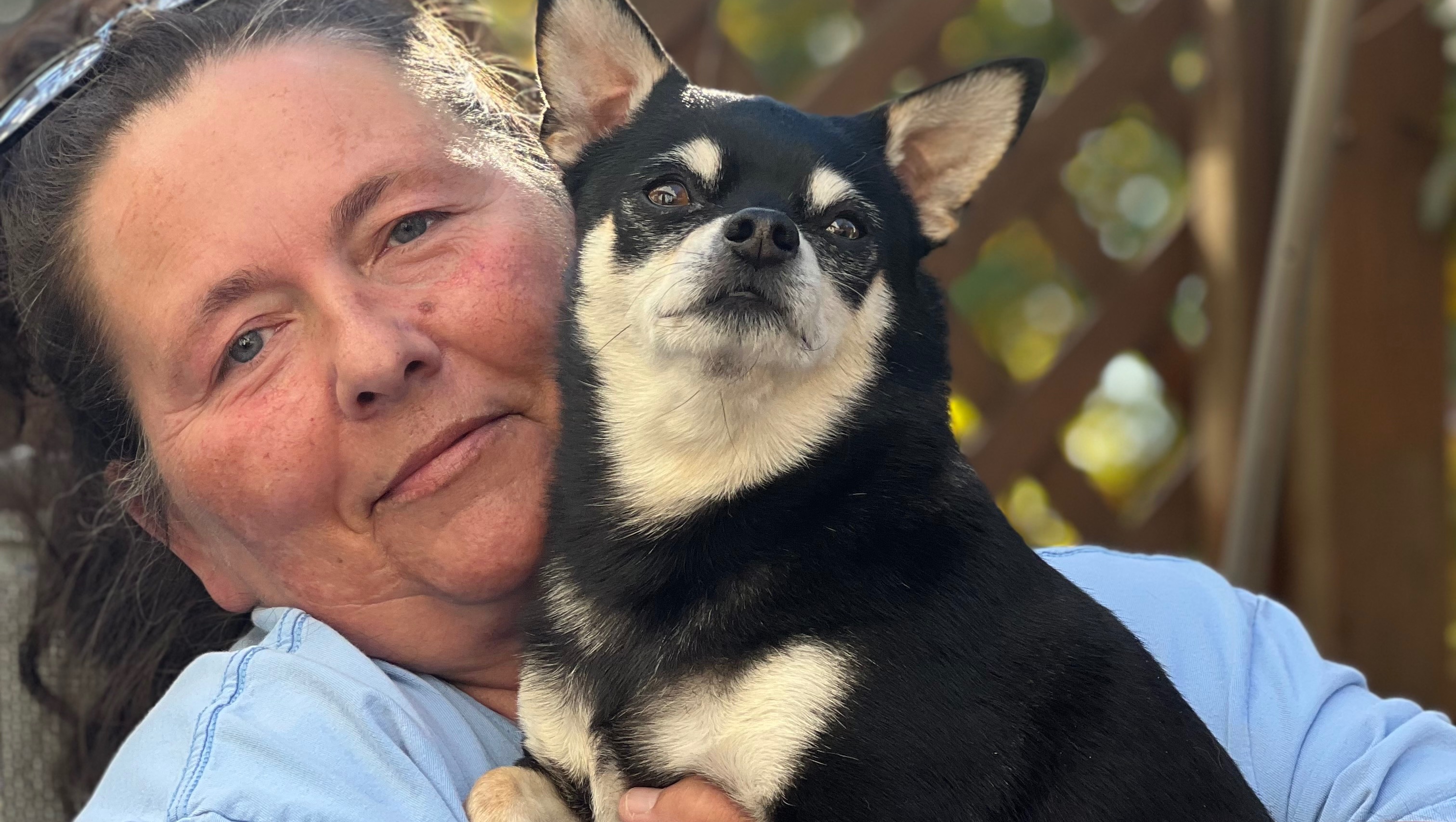 Fundraiser by Roscoe Preece : Bring Max home