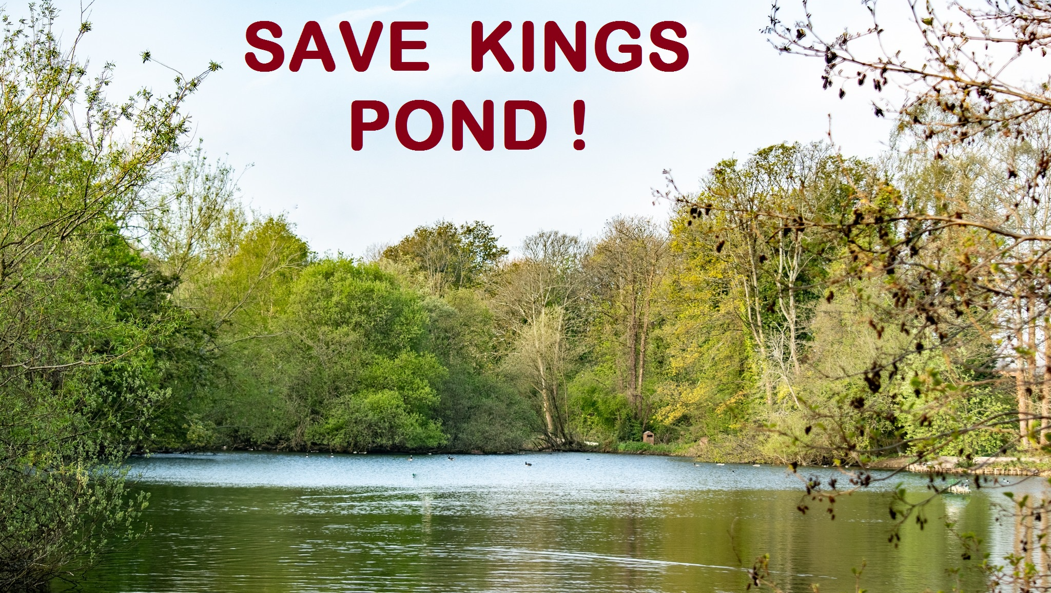 Petition update · Kings Pond Needs You · Change.org