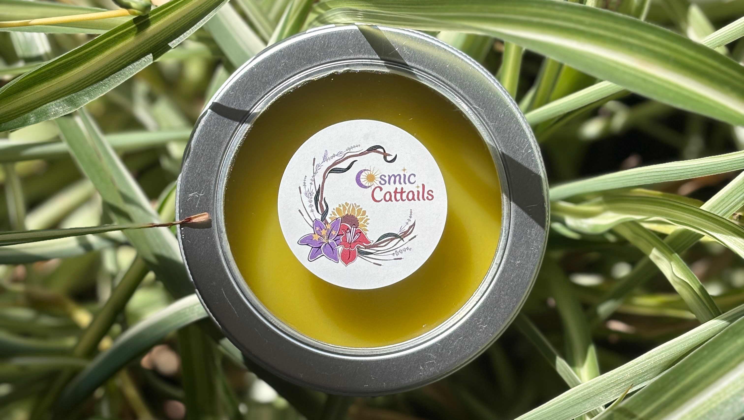 Fundraiser by Cosmic Catt : Help Catt Keep Her Dream Alive