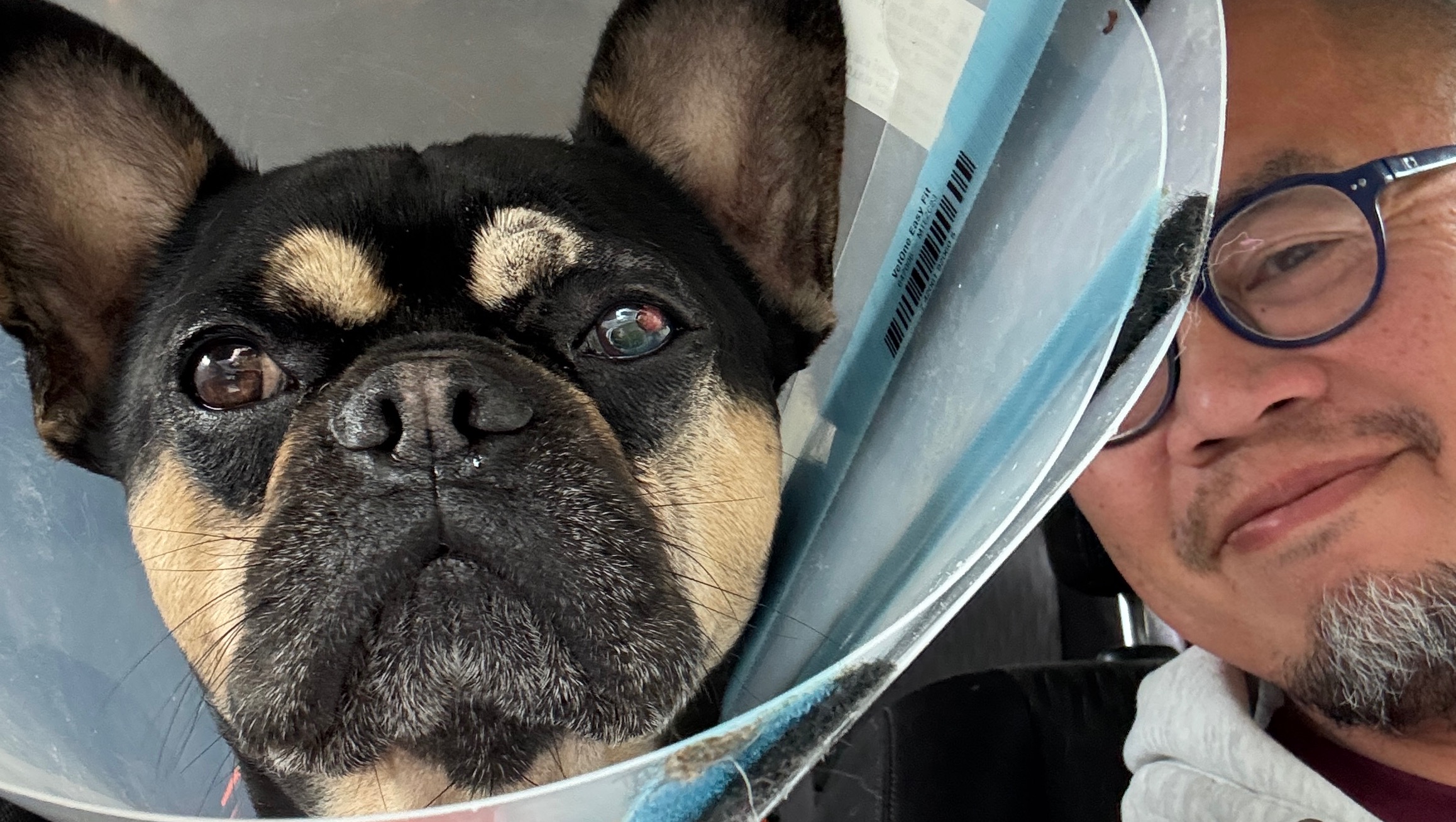 Fundraiser by Jason Chun Han Lin : Support George's Eye Surgery and Care