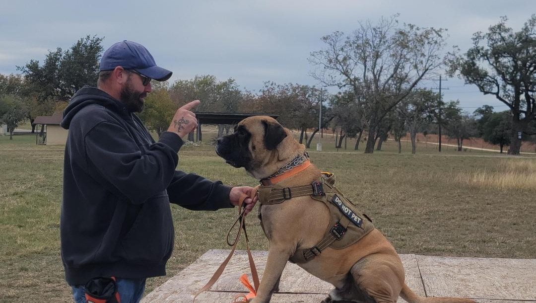 Fundraiser by Derek Pyle : Please help bring Chuck home