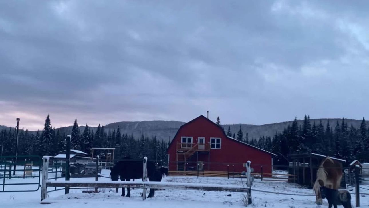 Fundraiser by Jonathan Roy : Aidons un vétéran à bâtir un programme d’aide