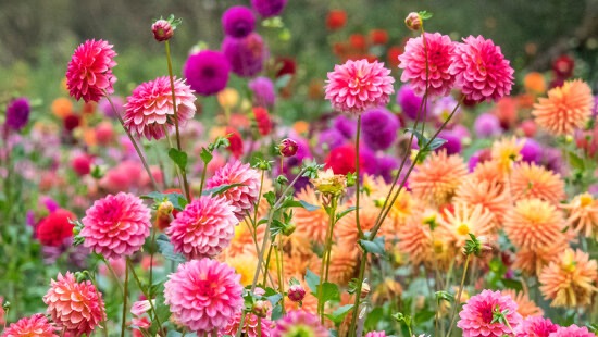 Fundraiser for Gregory Costello by Taylor McKenna : Support the ...