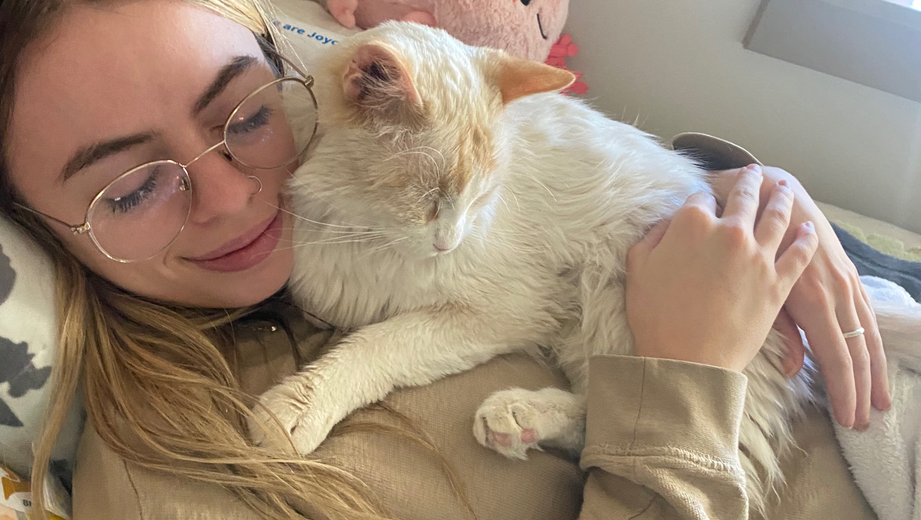 Fundraiser by Jessica Rice : Support for My Sick Rescue Cat