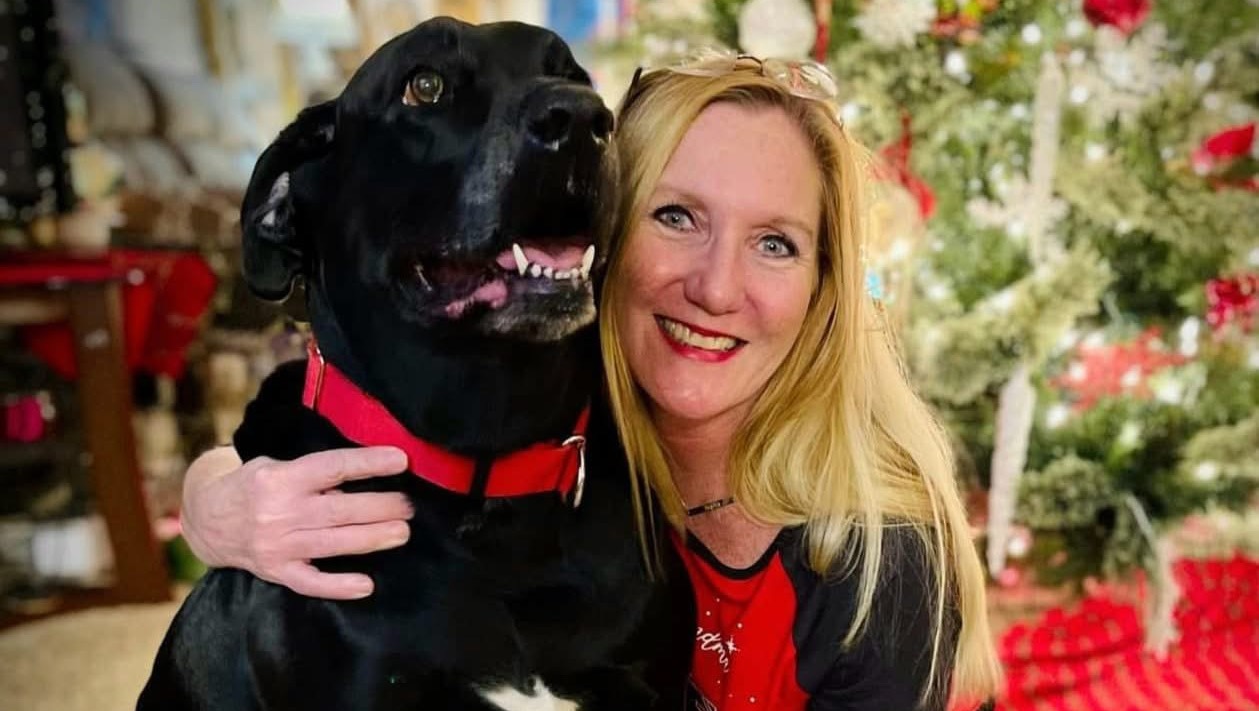 Fundraiser by Lora Motzer : Help Brutus Fight His Tumor