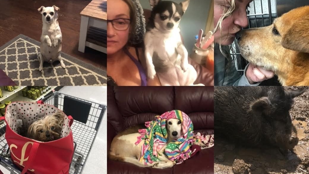 Fundraiser for Lisa Justus by Debbie Masley : Please help Lisa save ...