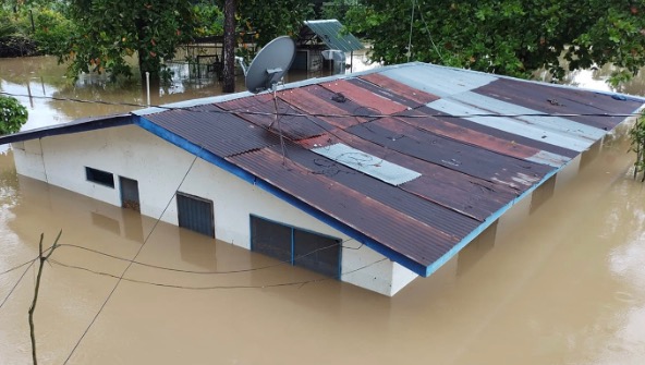 Fundraiser by capucine baniol : Help the victims to recover from ...