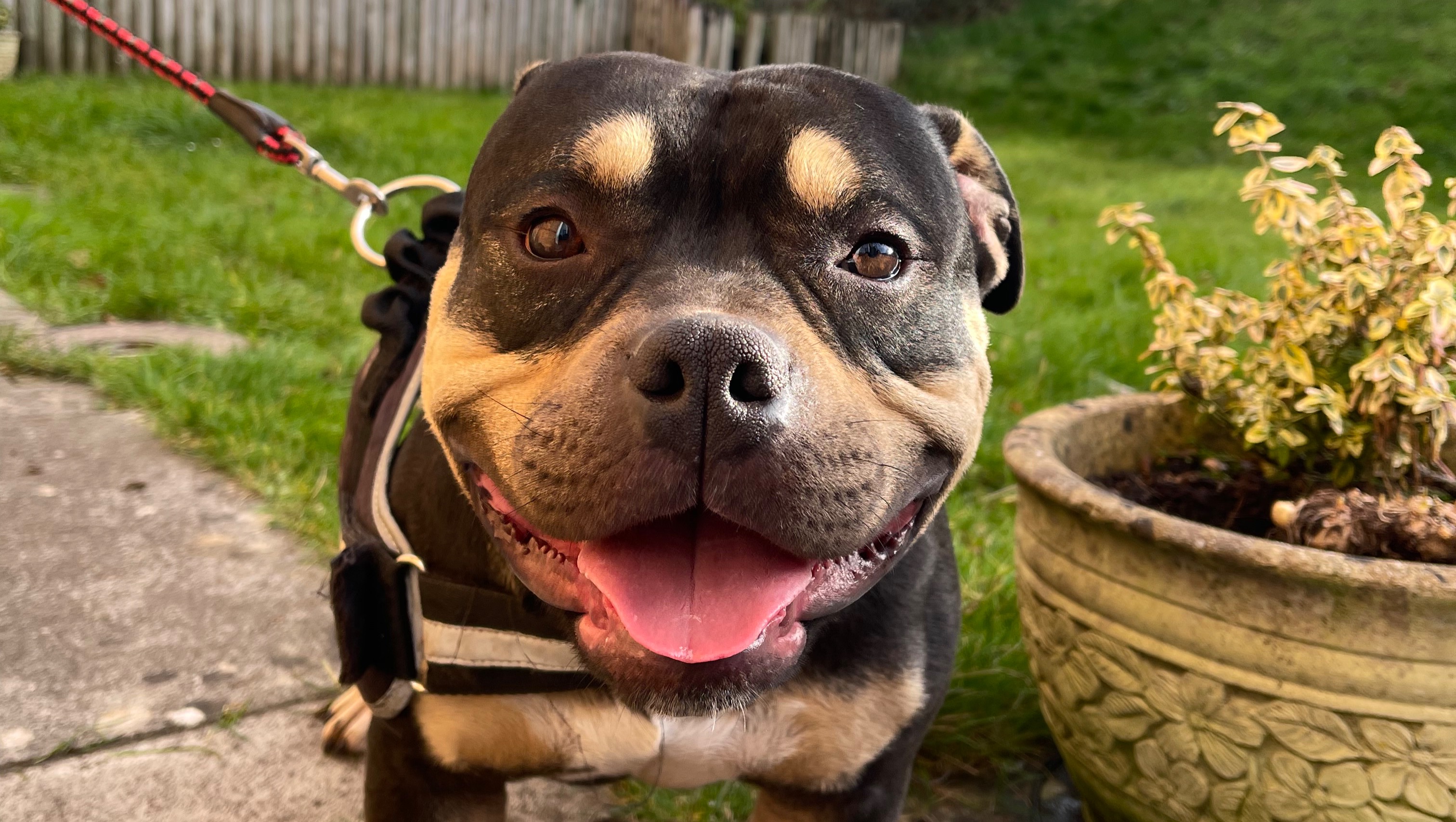 Fundraiser by Angeli Cajuigan : Pablo Cancer Treatment