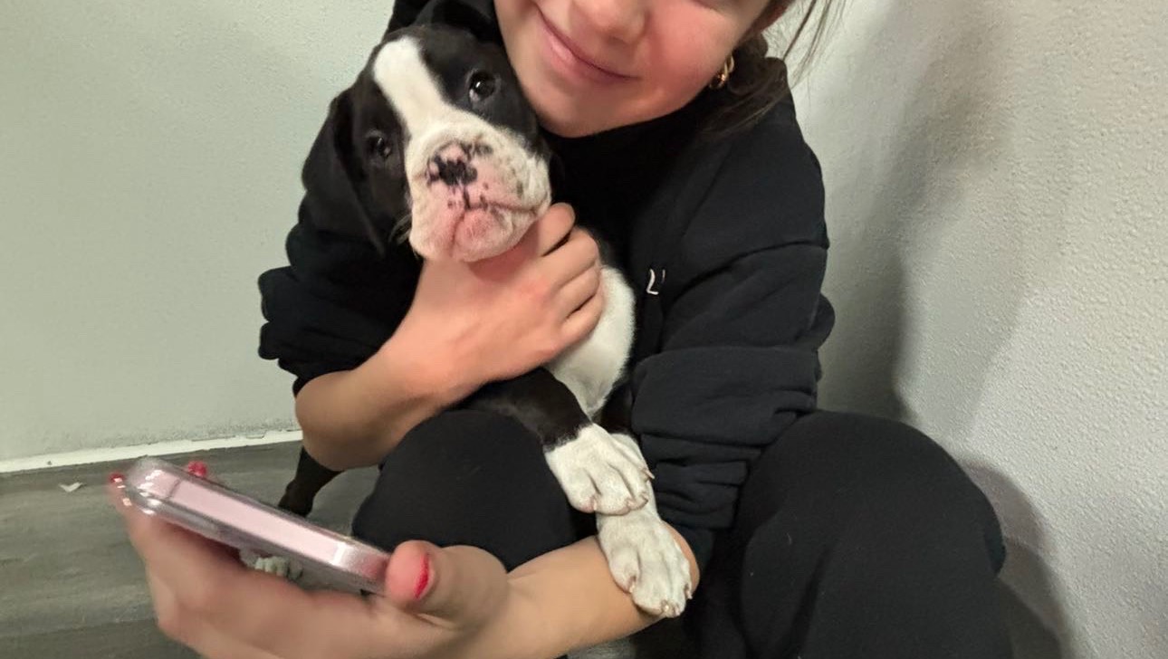 Fundraiser by Hailey Kempton : Help Our Family Welcome a New Puppy
