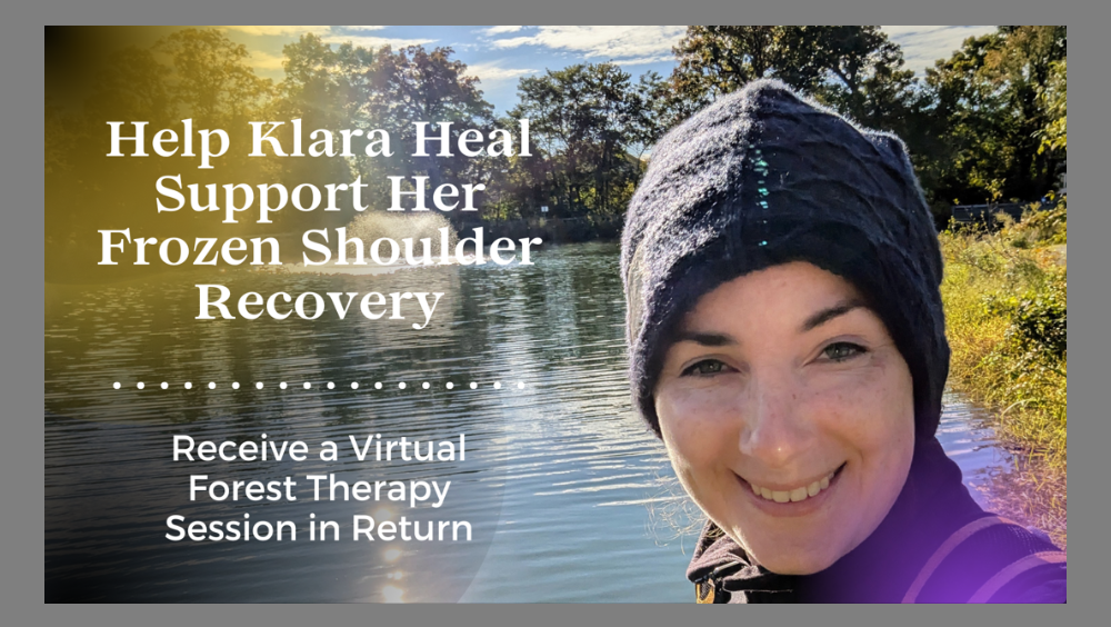 Fundraiser by Klara Tselenchuk : Support Klara’s Journey to Frozen Shoulder Recovery