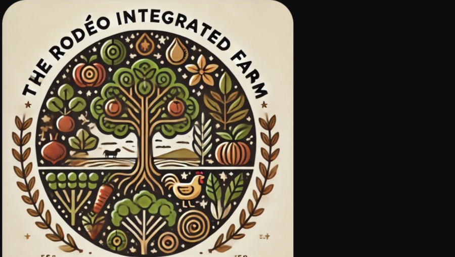 Fundraiser by Jason Desai : Support El Rodeo's Sustainable Future