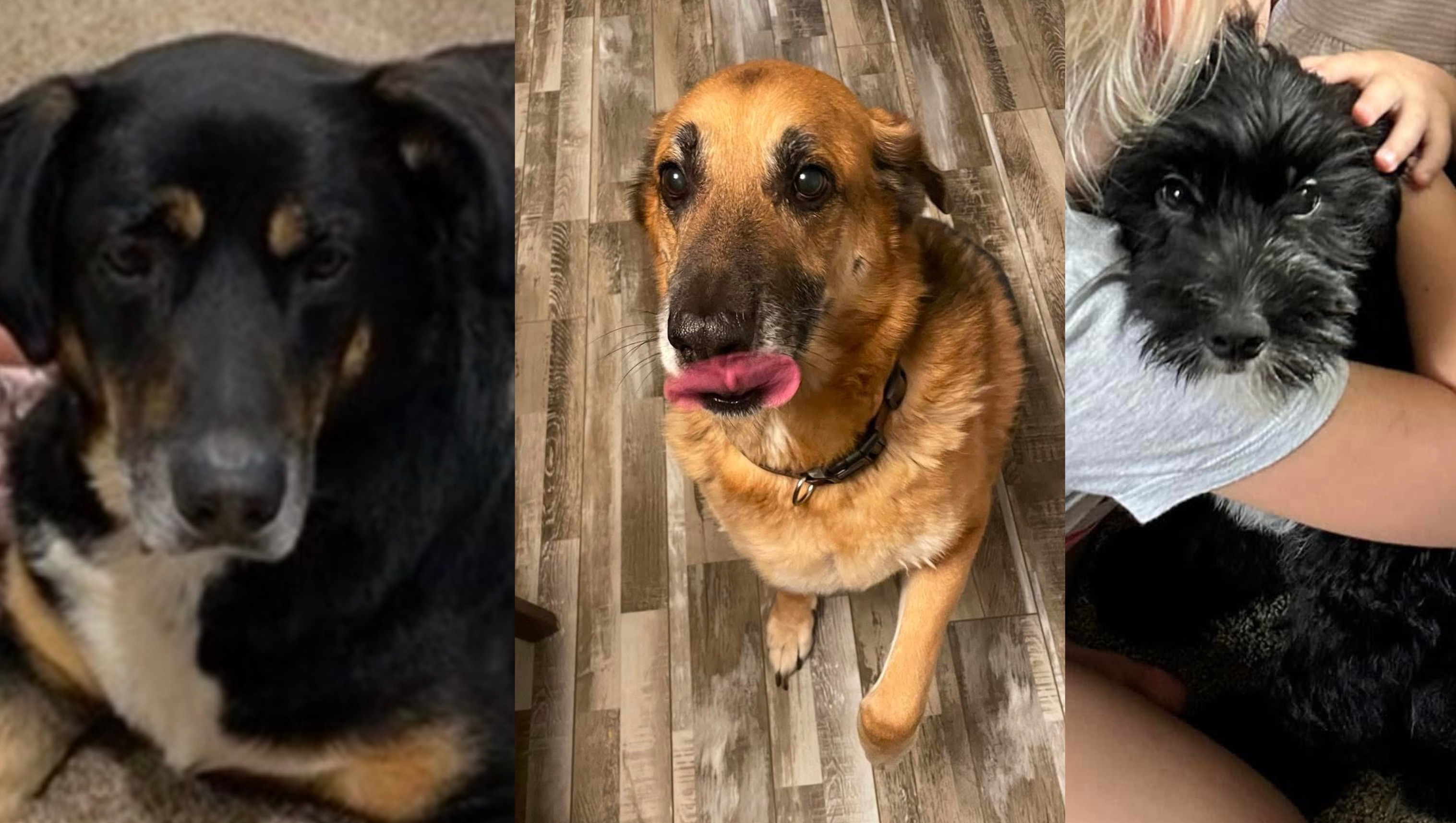 Fundraiser for Sydney Landon by McKenzie Altizer : Support a Family ...