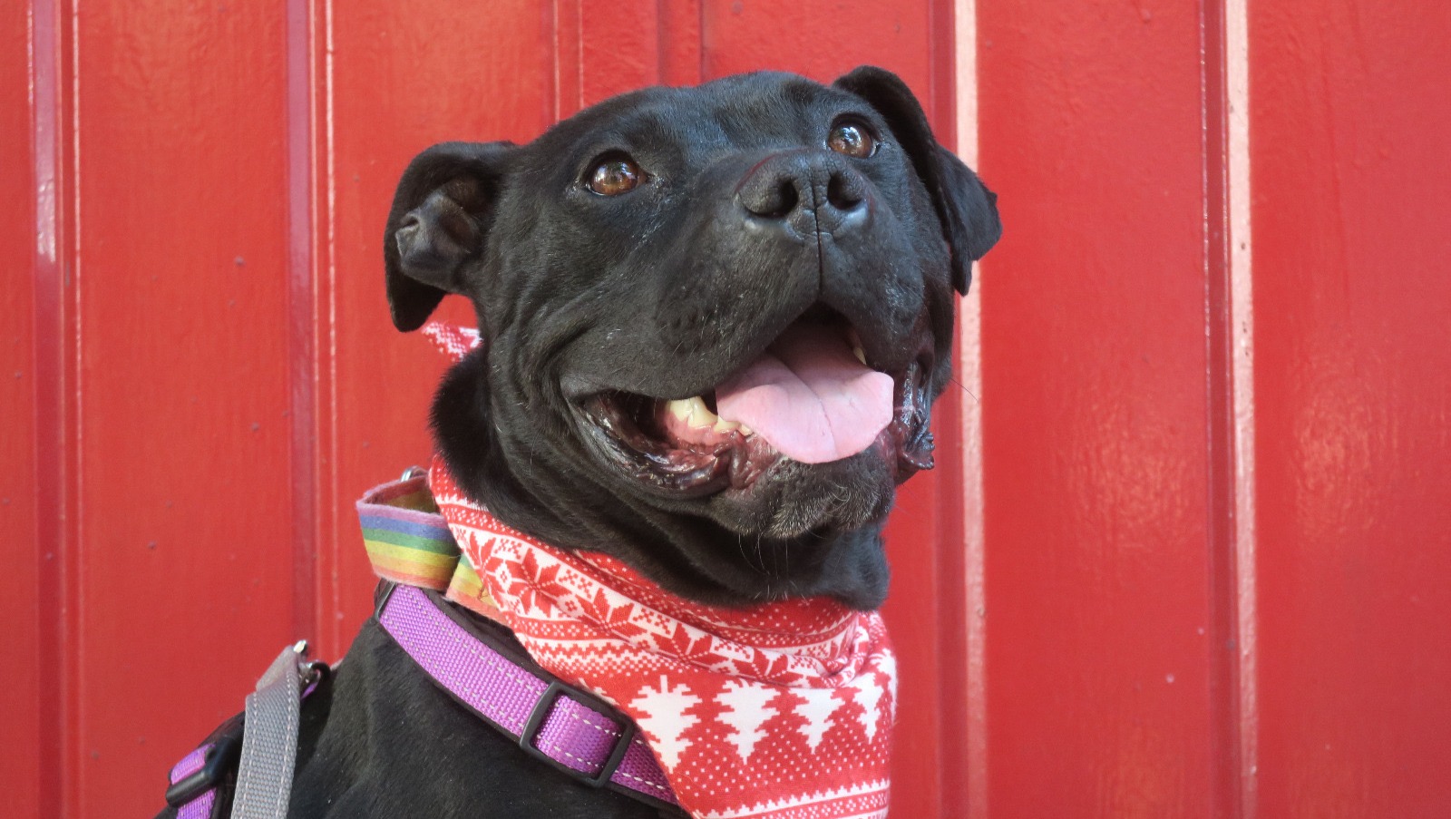 Fundraiser by Lai Yi : Support Amara Coco's journey to healing and love