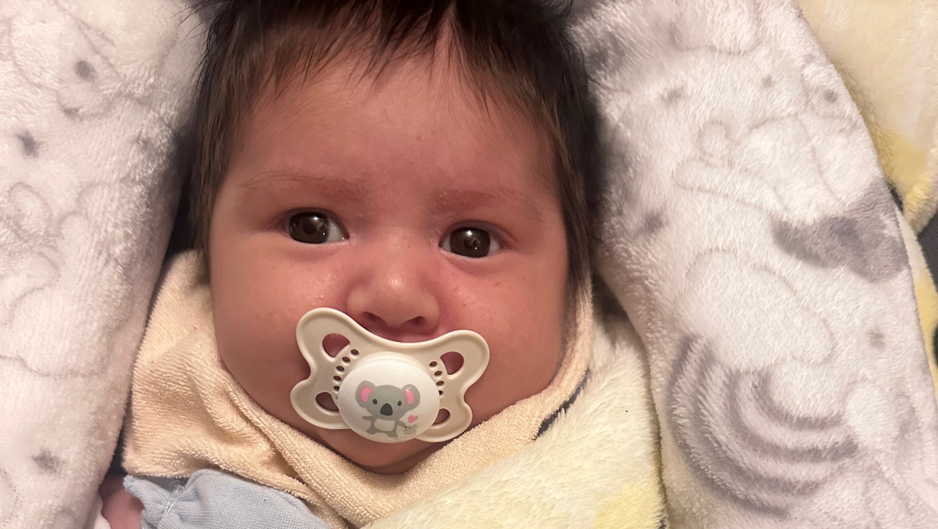 Fundraiser by Michelle Contreras : Support Sol Jade's Fight Against RSV