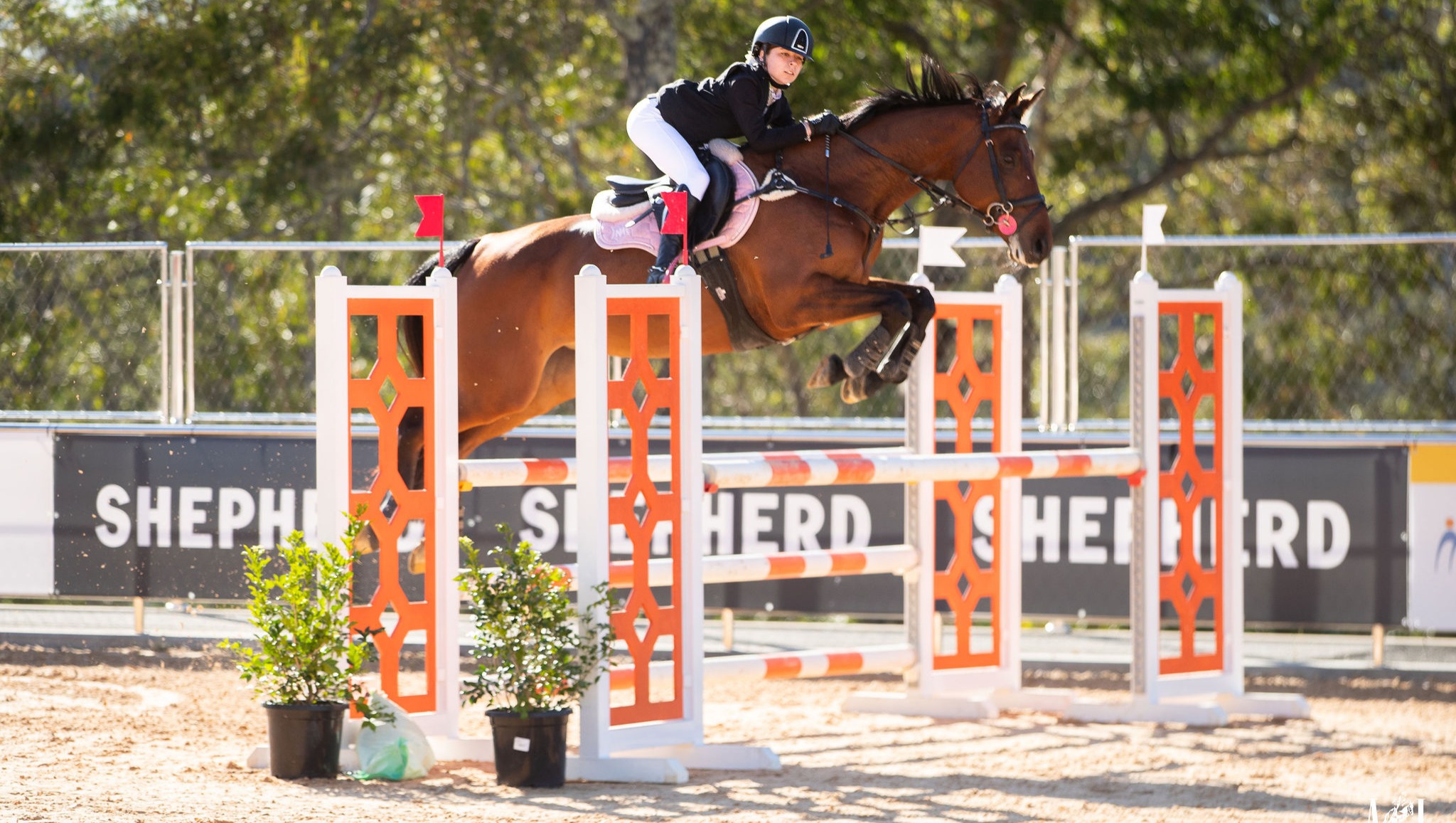 Fundraiser by Lauren Cookies Custom Cakes : Help Jasmine Cook Jump to ...