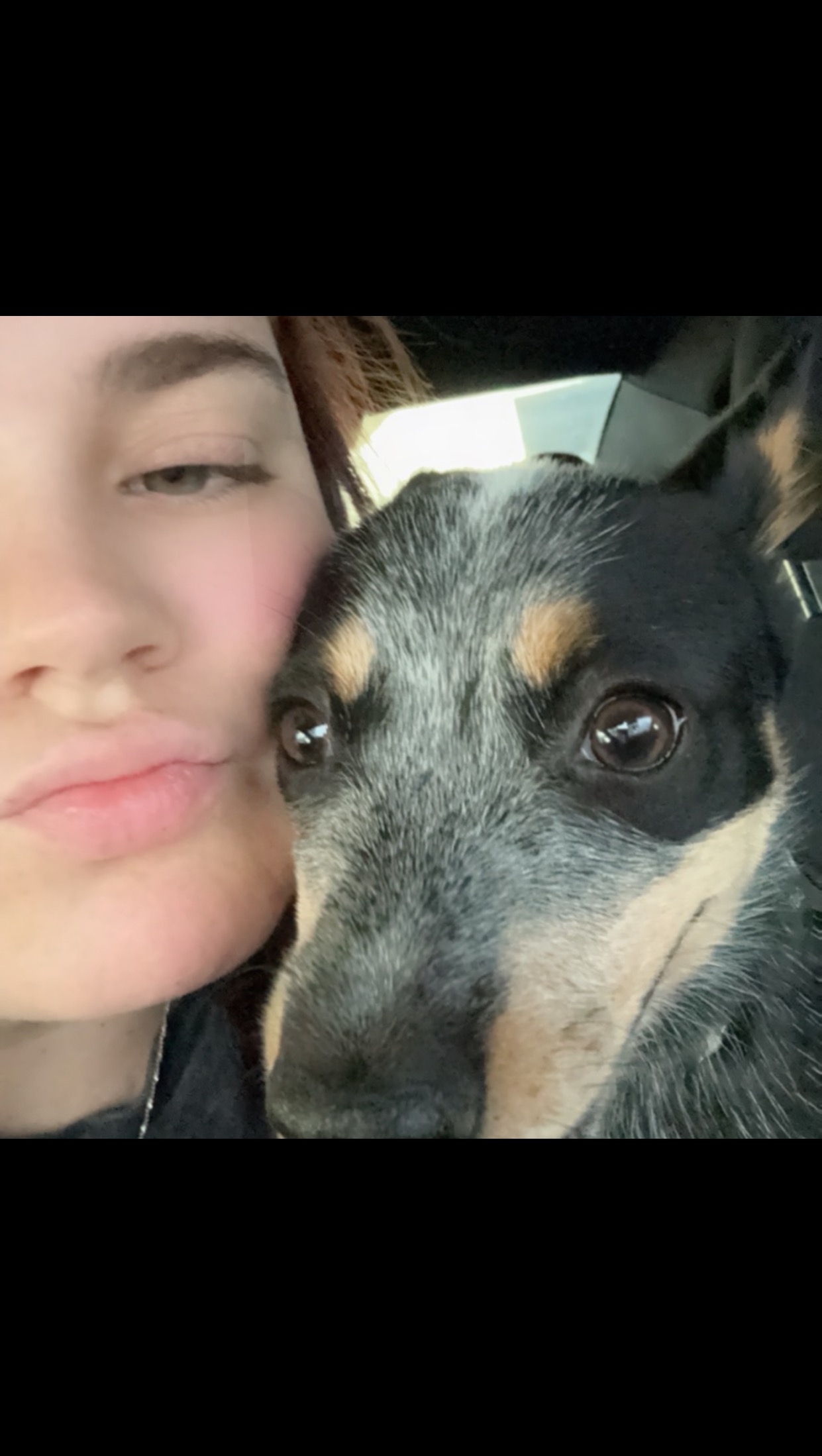 Fundraiser by Alexis Bucher : Support Alexis and Daisy Through Hard Times