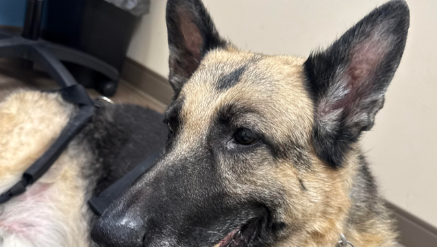 Fundraiser by Murthy Gokula : Help Beth Overcome Debt from Chief's Surgery