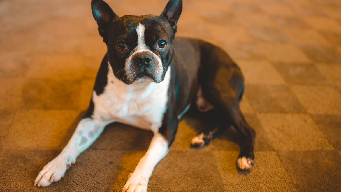 Fundraiser by Marianna Urrutia : Remembering Logan: Covering Final Costs