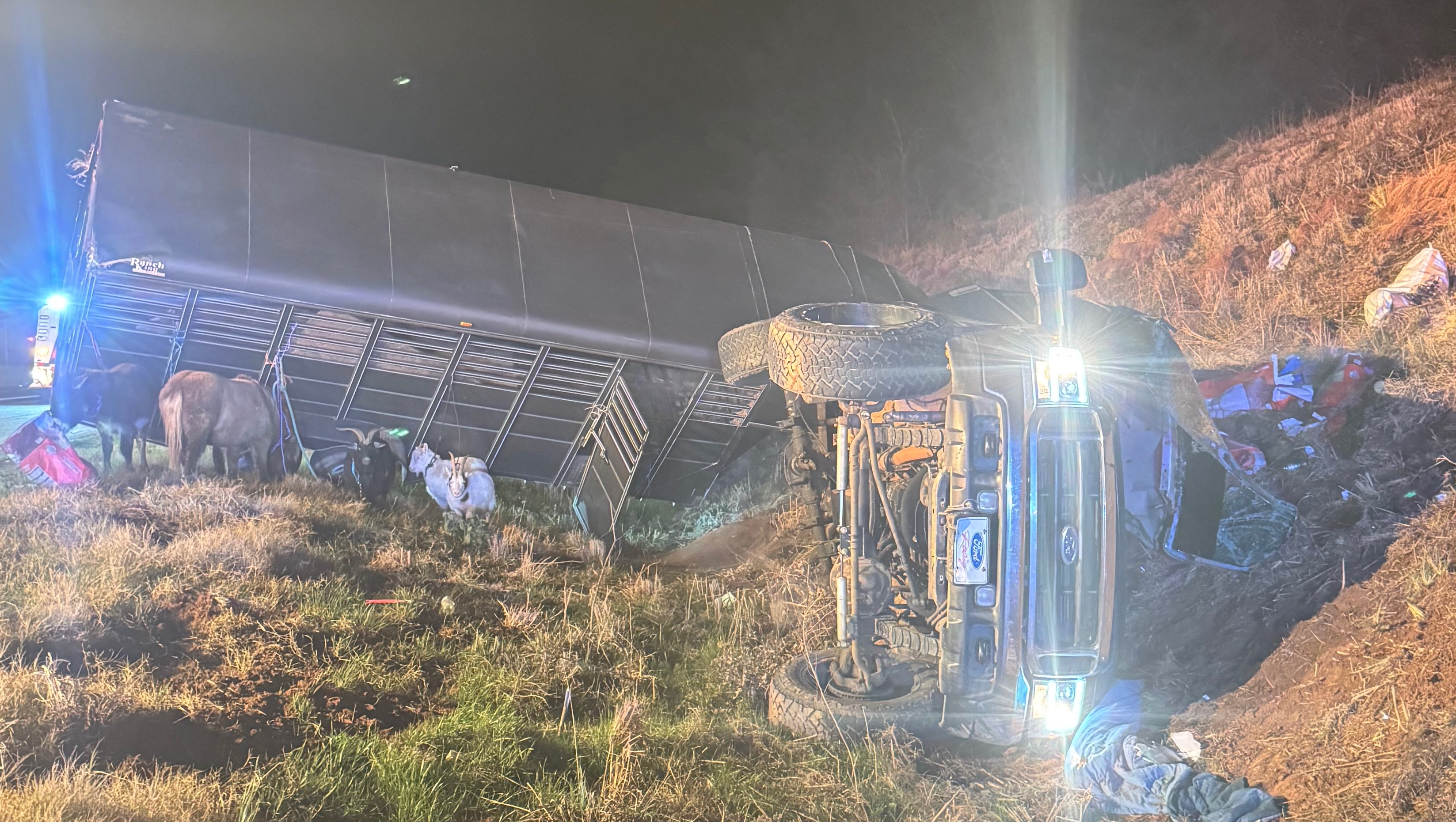 Fundraiser by Kennedy Bennett : Support Kennedy and Garrett’s Animals ...