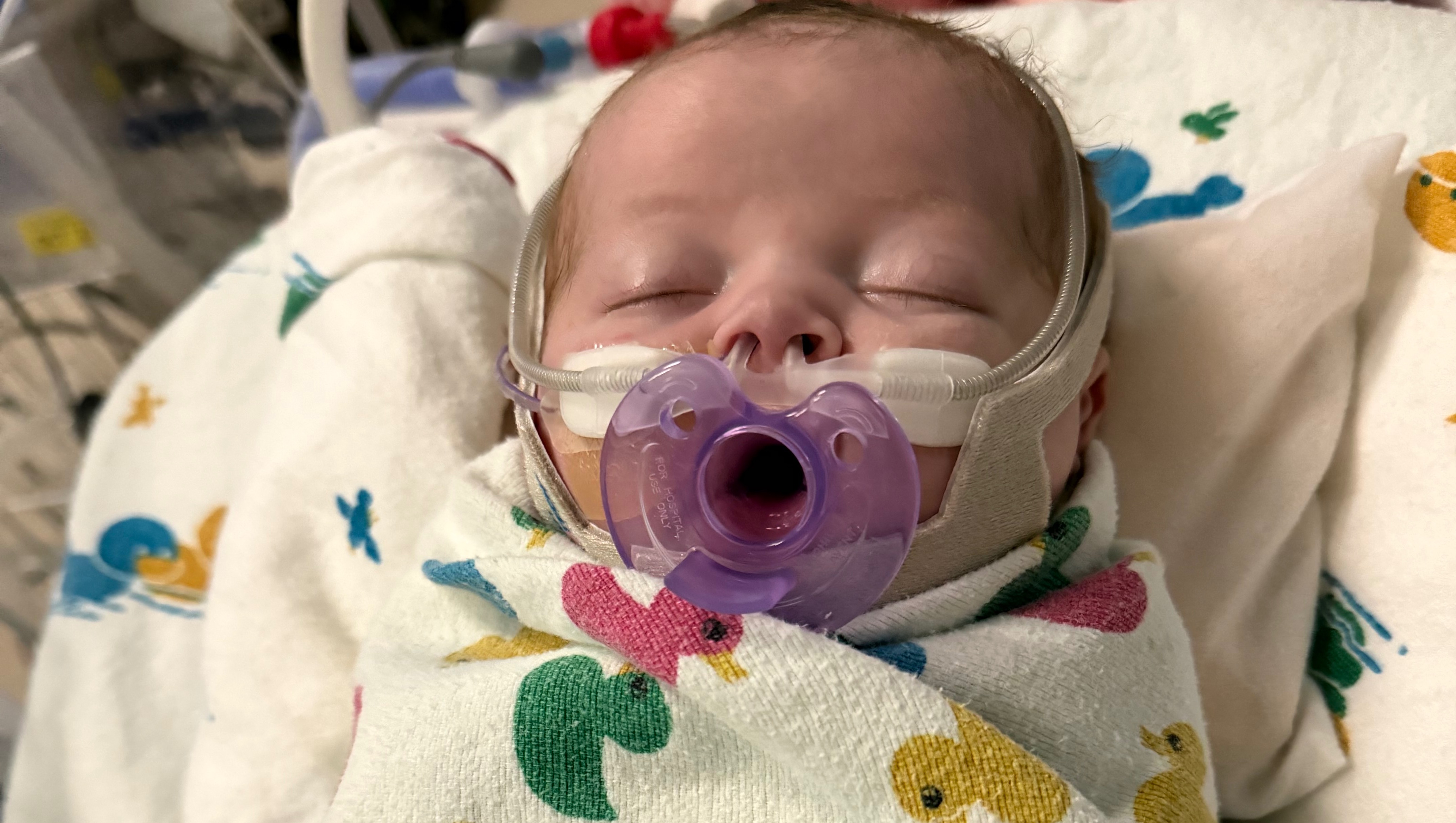 Fundraiser by Jessica Garboski : Support for Ember's Journey