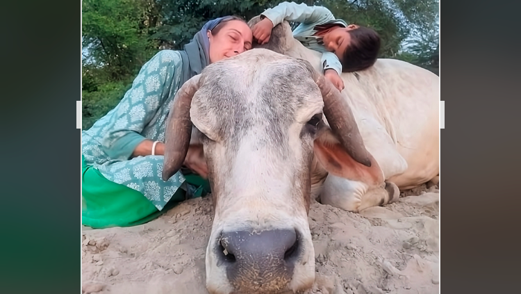 Fundraiser by Carl Mello : Save our Sanctuary