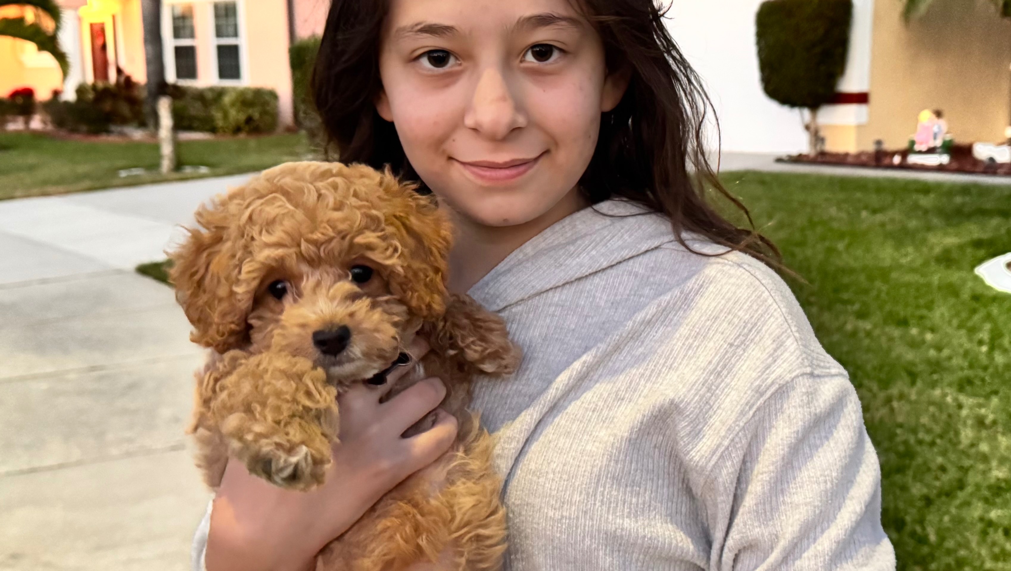 Fundraiser by Amy Rodríguez : Save Pongo: Urgent Medical Funds Needed