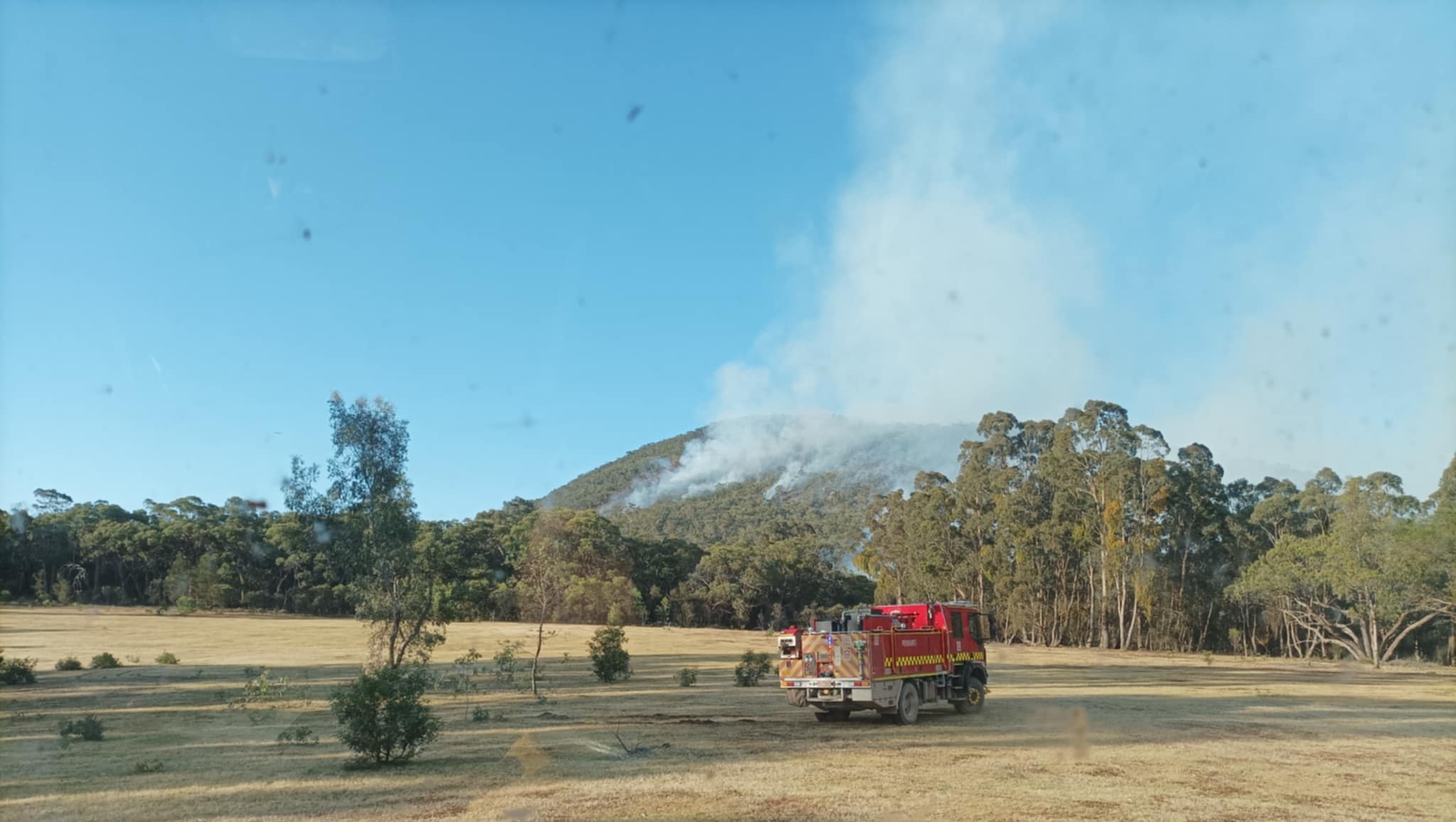 Fundraiser by Shelly Burrowes : GRAMPIANS BUSHFIRE WILDLIFE RESCUE AND ...
