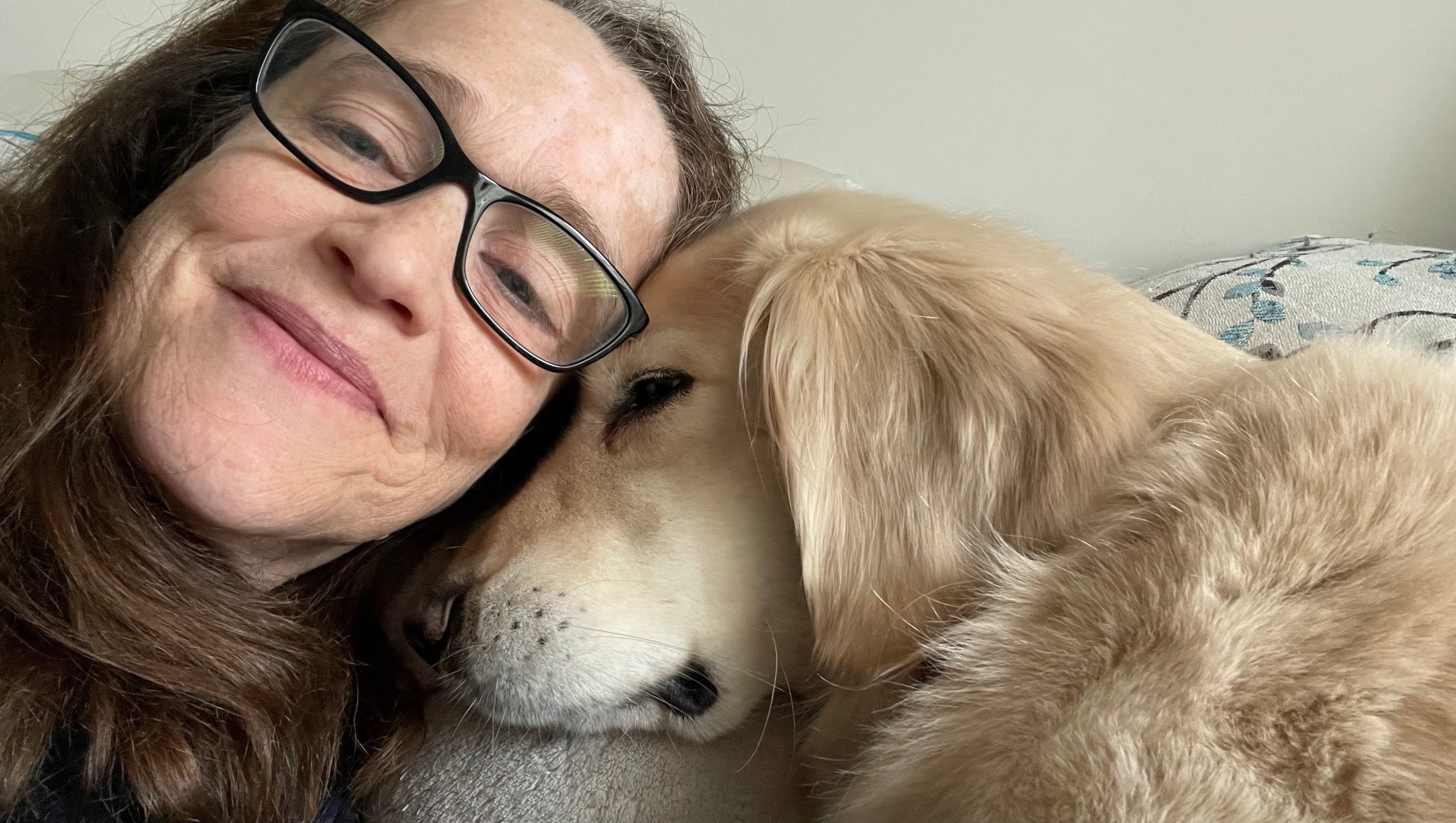 Fundraiser by Tim Daoust : Help Shannon Reverse Pancreas Rejection