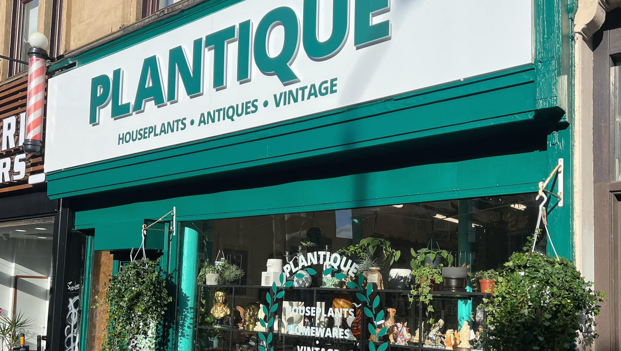 Fundraiser by Jordan Trainer : Save PLANTIQUE