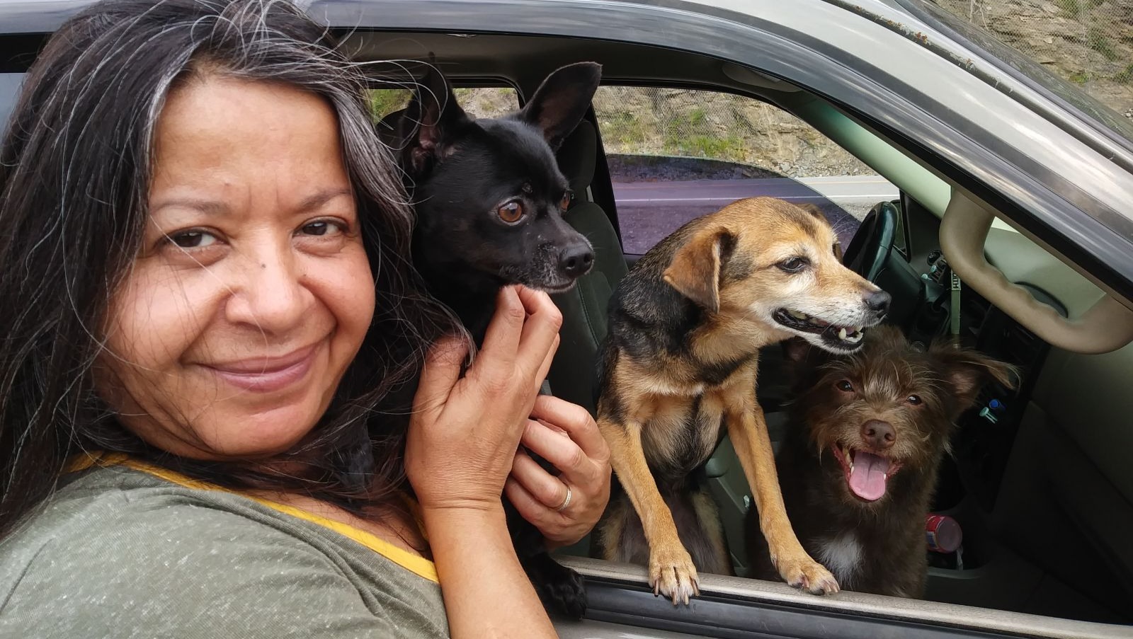 Fundraiser by Dawn Marino : Help Millie Get Back on the Road