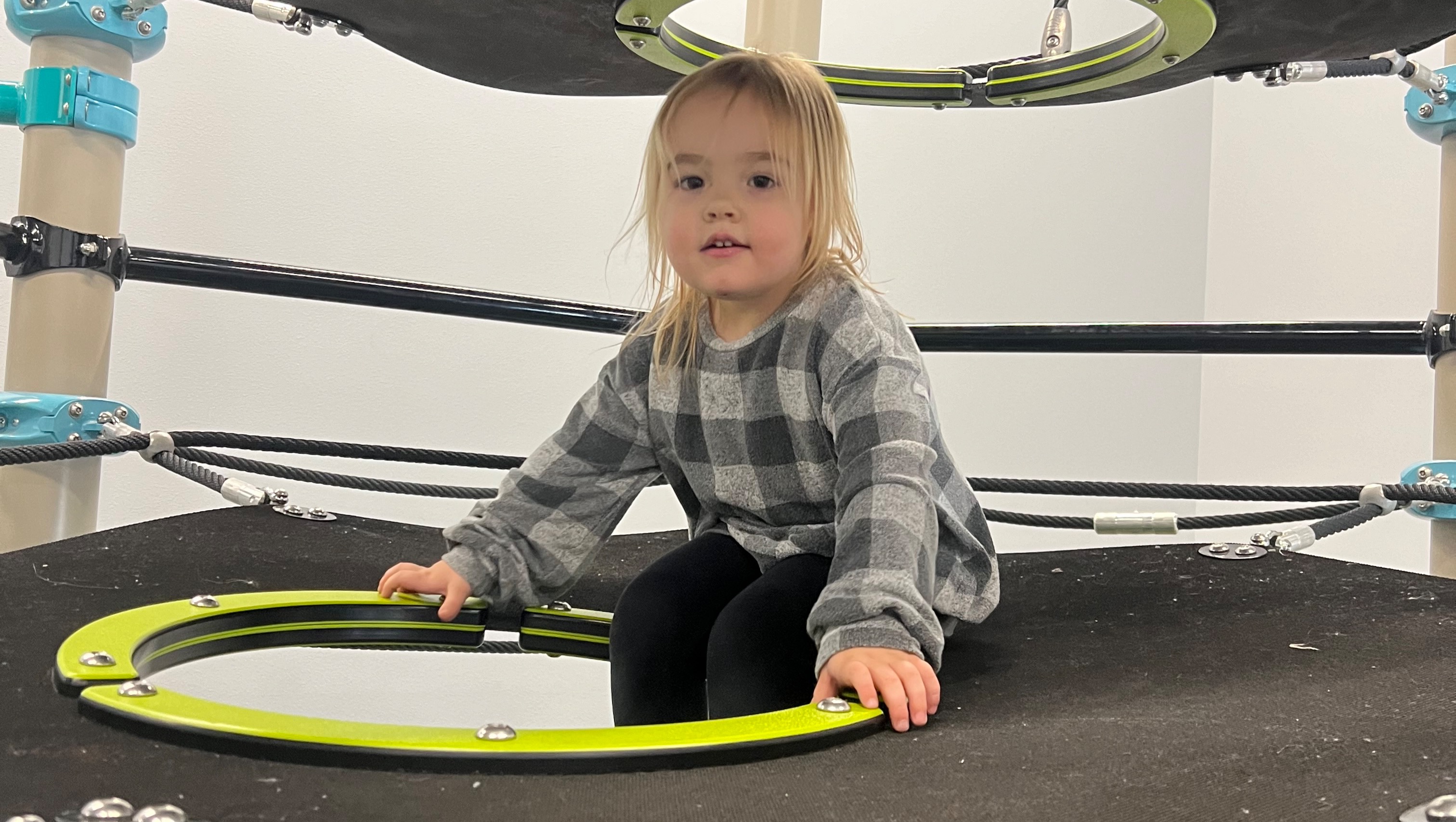 Fundraiser for Abby and Anthony Pesce by Gregg Waylander : Help Evelyn ...