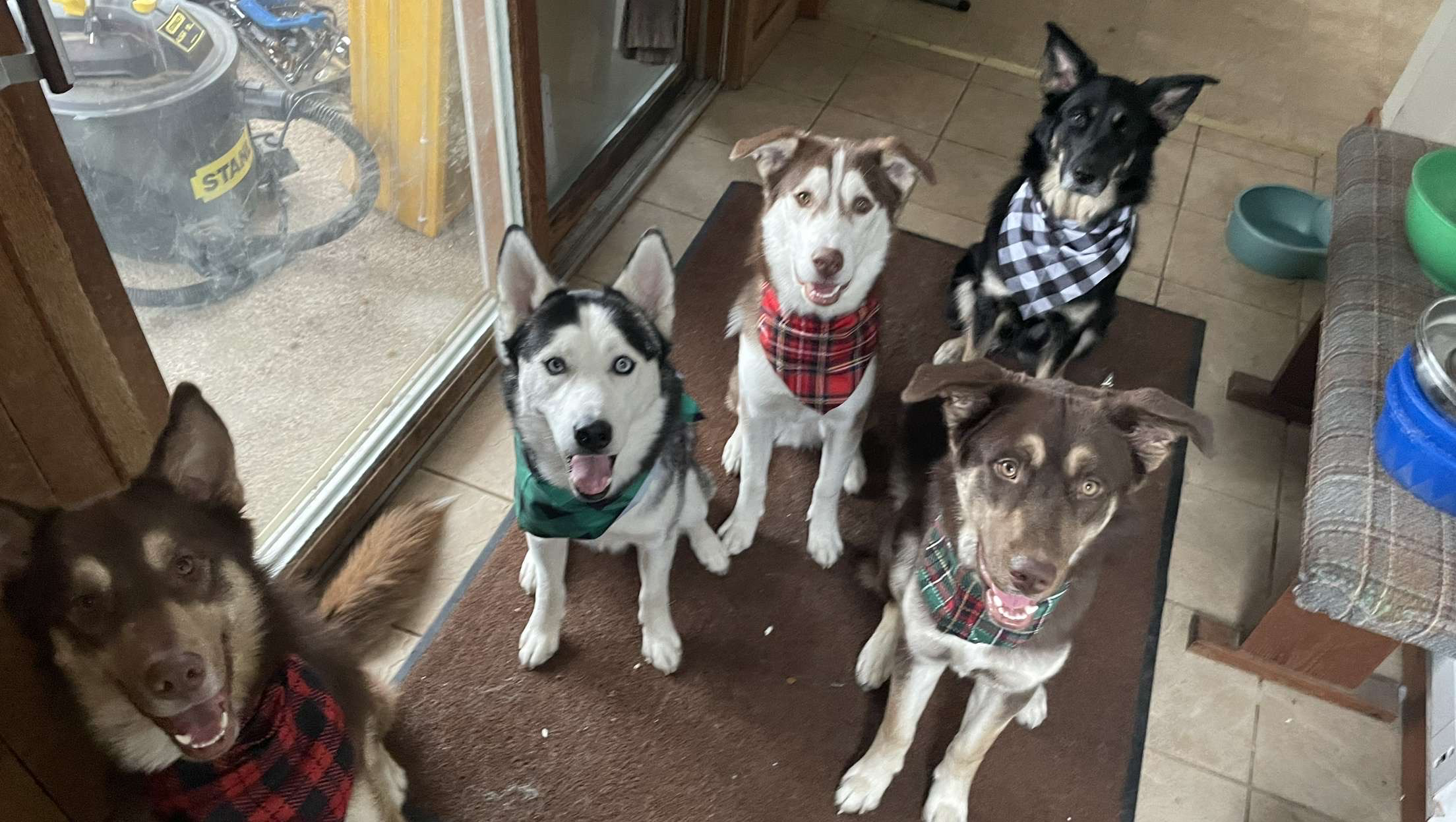 Fundraiser by Riley Godin : Help Riley With His Fight Against Cancer!