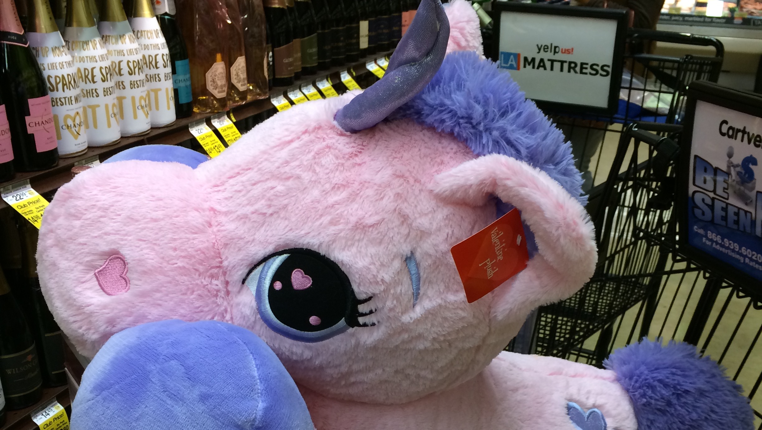 Fundraiser by Calico Caress : 2025 Unicorns Service Group Fund
